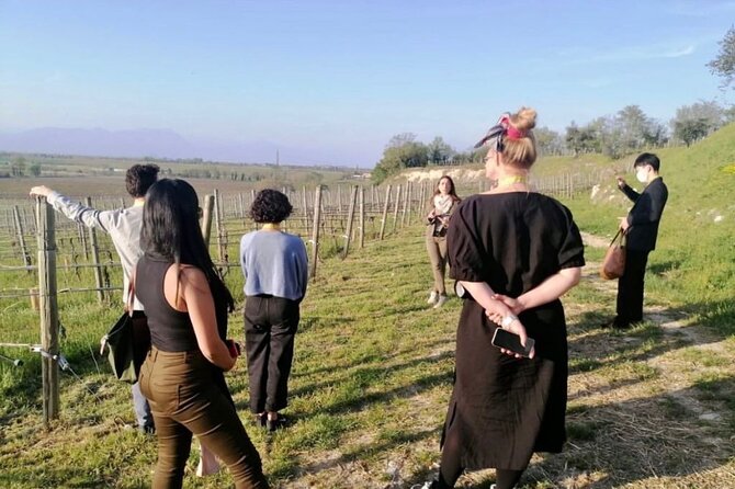 Guided Premium Tour in Lugana DOC - 5 wines from Perla del Garda