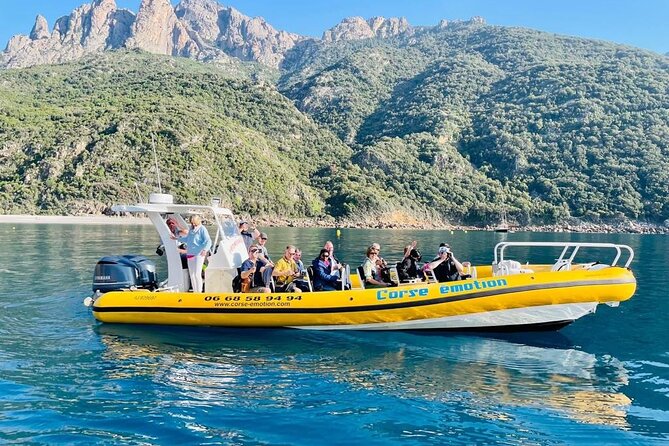 Half Day Boat Trip to Scandola Calanche de Piana