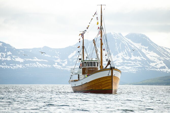 Half-Day Fishing & Fjord Cruise Adventure from Tromsø in Norway