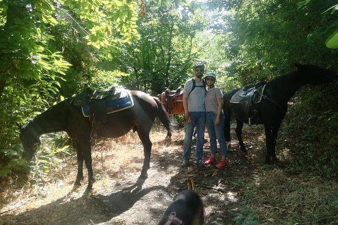 Horse Riding on Mount Vesuvius