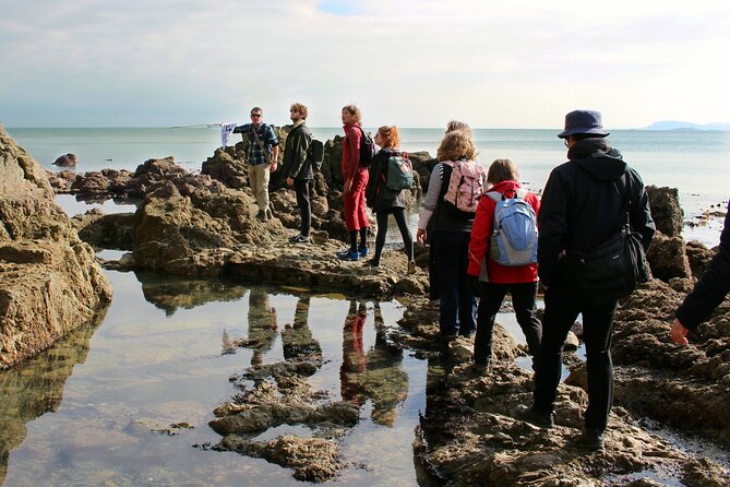 Howth Safari Hiking Tour
