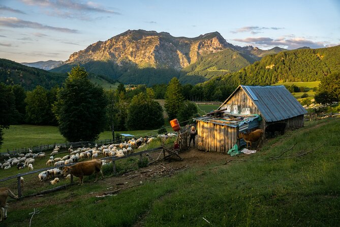 Immersive 2-Day Tour/Homestay with Shepherds in the Albanian Alps