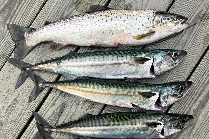 Inshore fishing in the Drangefjord