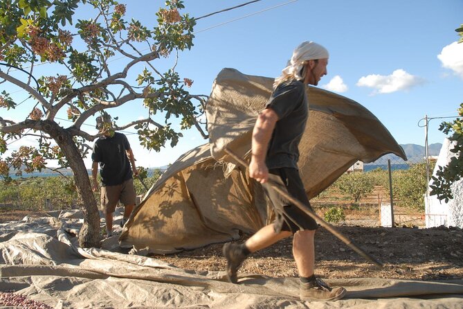 Insightful Pistachio Orchard and Factory Tour