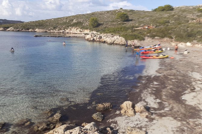 Kayak Tour in the Marine Reserve !