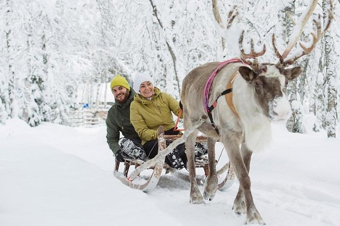 Lapland Reindeer and Husky Safari from Levi