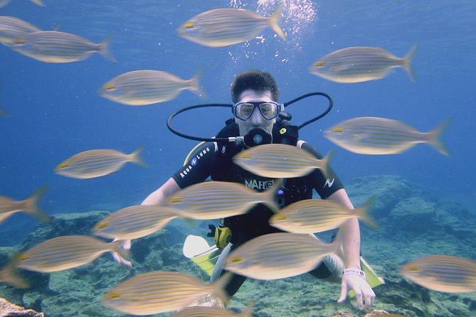Local Guided Dives (for certified/licensed divers)