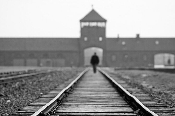Memorial and Museum Auschwitz-Birkenau Tour & Krakow Transfer