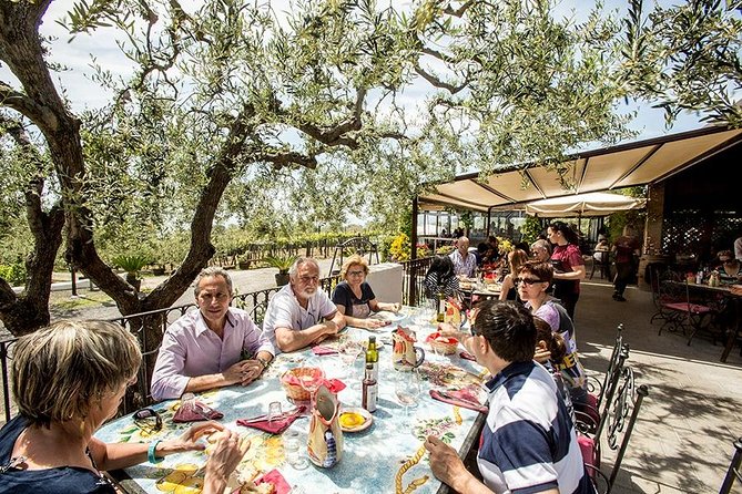 Mount Vesuvius & Wine Tasting with Lunch Private Tour