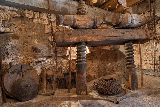 Olive oil farm to fork experience & short walking tour of Kotor