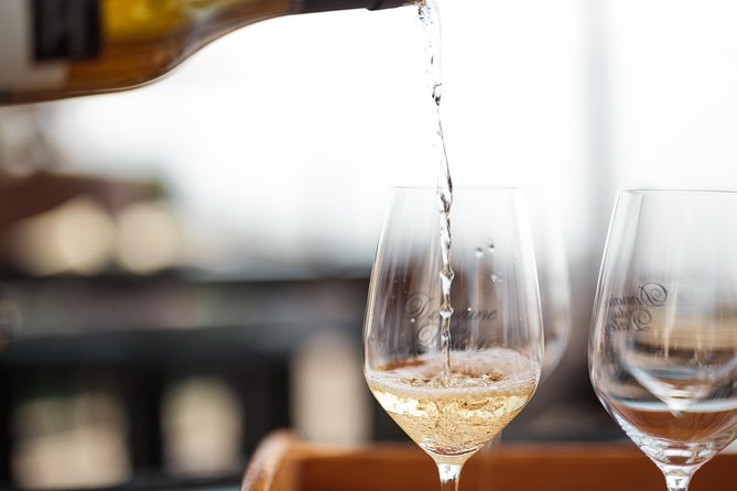 Panoramic Wine Tour From Lausanne