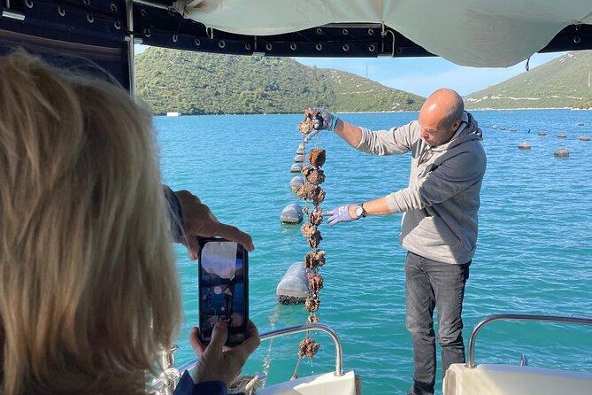 Peljeac - Wine, Oysters and Food Experience from Dubrovnik