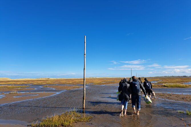 Pilgrims' Path walk across the sands to Holy Island