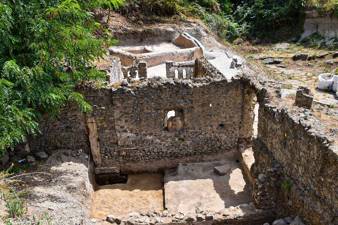 Pompeii Guided Tour & Lunch with Tasting at Two Vesuvian Wineries