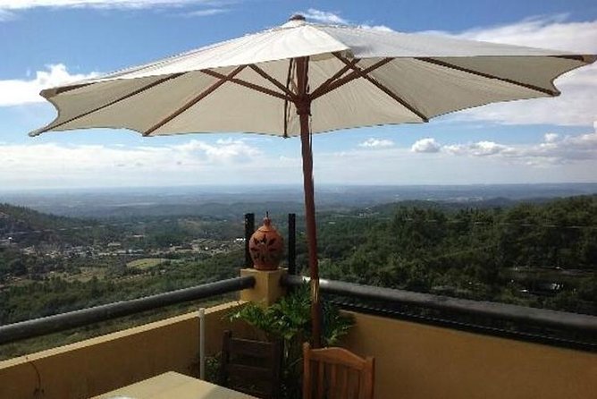Premium gastronomic mountain tour: Wine, olive oil, spirits, food