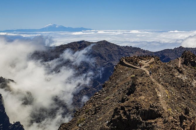 Private 8 hours Tour to El Teide from Tenerife Hotel with driver/guide