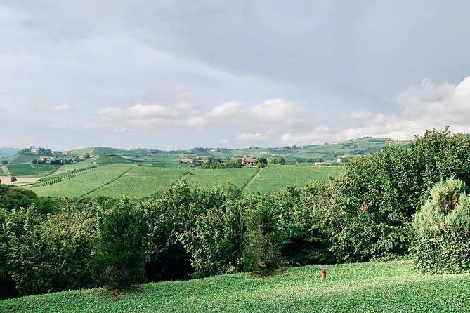 Private Barolo Wine Tour with Winemaker from Turin
