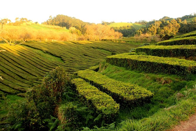 Private Full-Day 4x4 Tour to Furnas Volcano