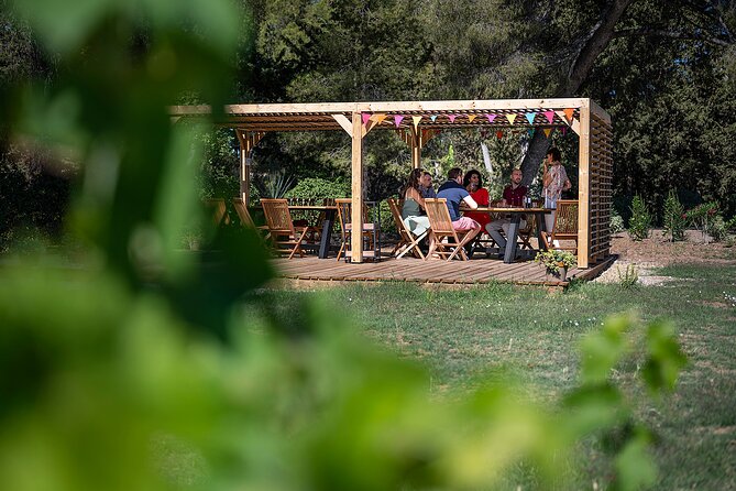 Private Half-Day Languedoc Wine Tour from Sète