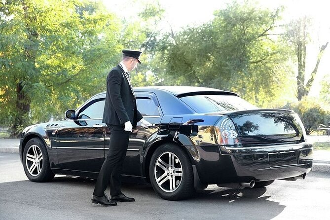 Private One Way Airport Transfer from Malaga Airport to Malaga