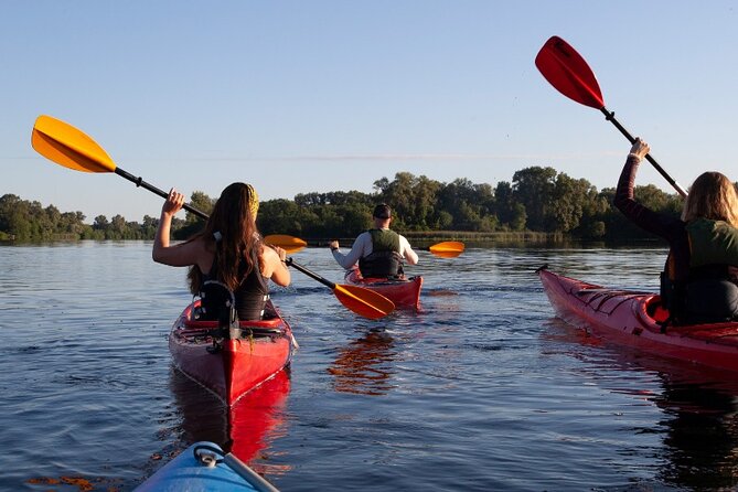 Private River & Sea Kayaking with Snorkeling in Omi
