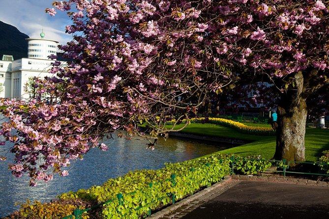 PRIVATE TOUR: Bergen city sightseeing, 5 hours