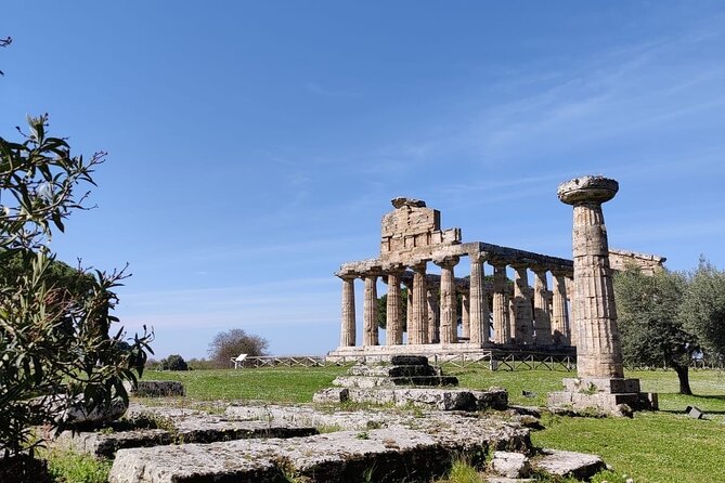 Private Tour from Sorrento/Positano to Paestum and Mozzarella tour