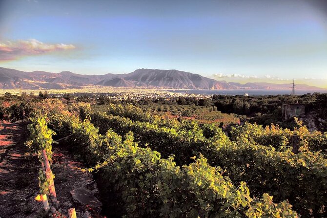 Private Tour in Pompeii Ruins and Pompeii City Center Winery