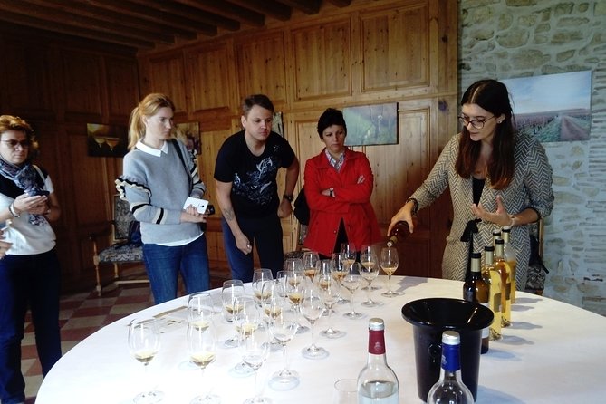 Private tour in the Sauternes wine region - discover Bordeaux sweet Crus Classés