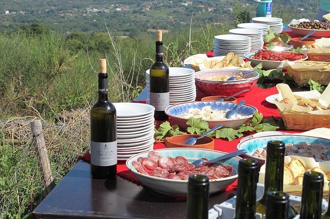 Private Tour of Mount Etna and Etna Winery Visit with Tasting from Syracuse