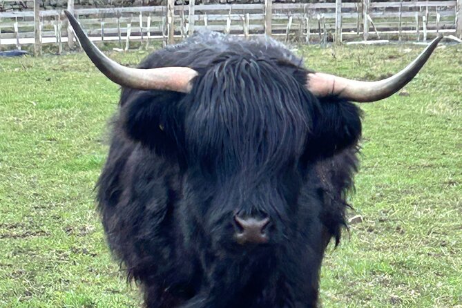 Private Tour of the Highlands, Glencoe and Castles from Stirling