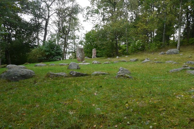 Private Tour: Swedish Iron Age Excursion from Stockholm 3h