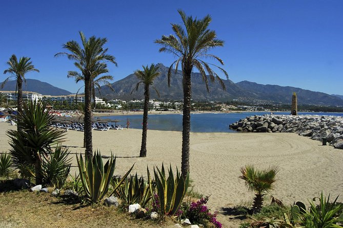 Private Transfer from Torrequebrada to Malaga (AGP) Airport