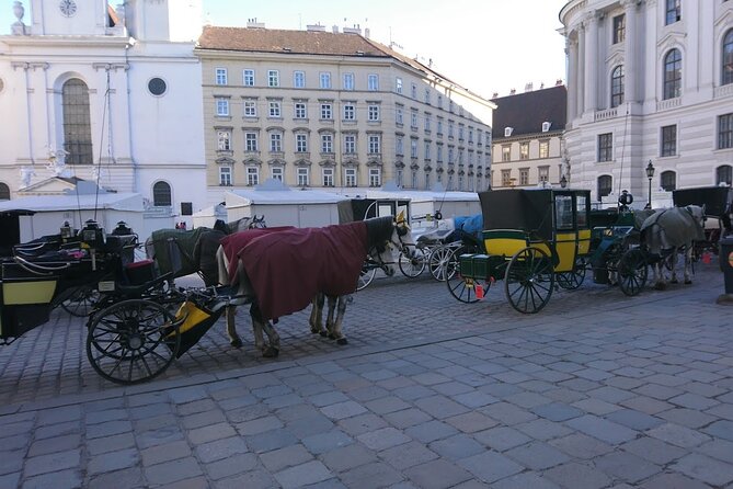 Private Transfer from Venice to Vienna or Vienna to Venice