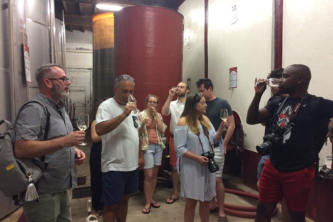 Private Wine day tour from Carcassonne and around.