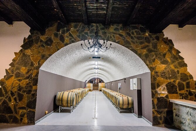 Private Wine Tasting Activity at Lipovac Winery