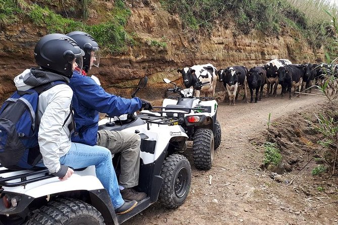 Quad Bike Tour - Sete Cidades from North Coast (Full Day) with lunch