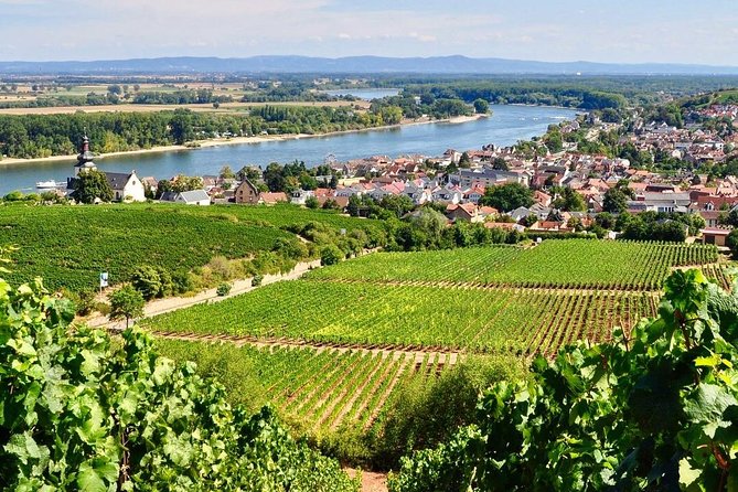 Rhine Valley Wine Tasting Tour from Frankfurt and Mainz