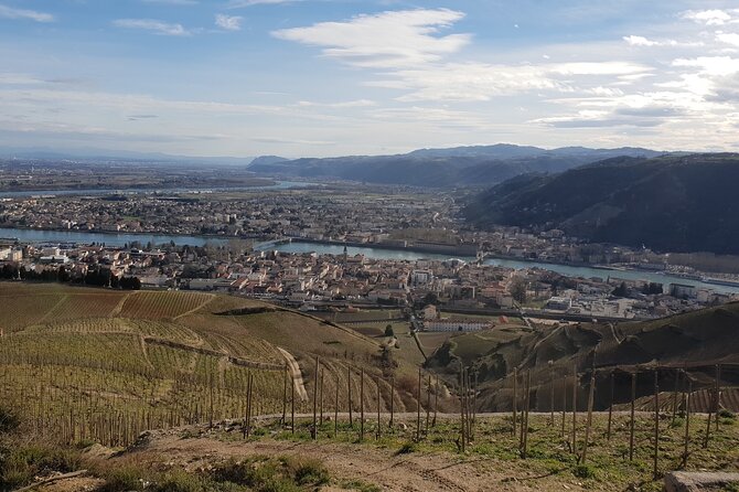 Rhône Valley Wine Tasting Private Day Tour from Lyon