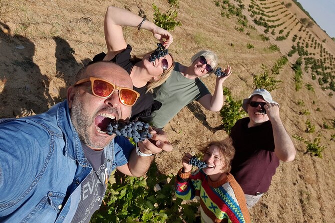 Ribera del Duero Tour: 4 Wineries Visit, Wine Tasting & Lunch