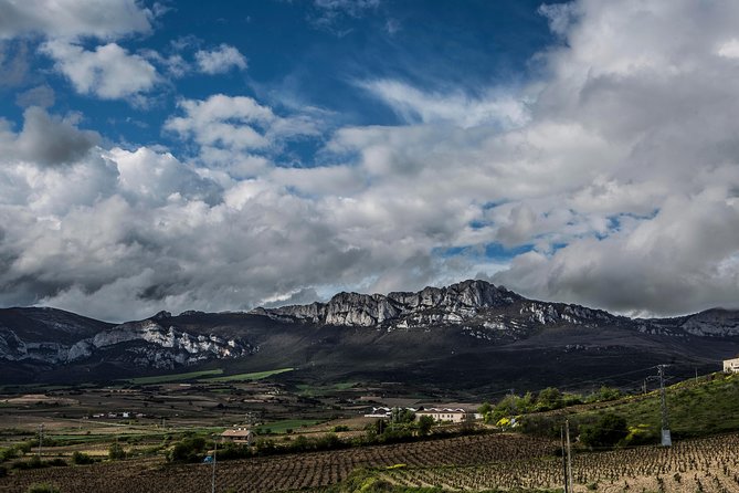 Rioja Wine Tour: 2 Wineries From Pamplona