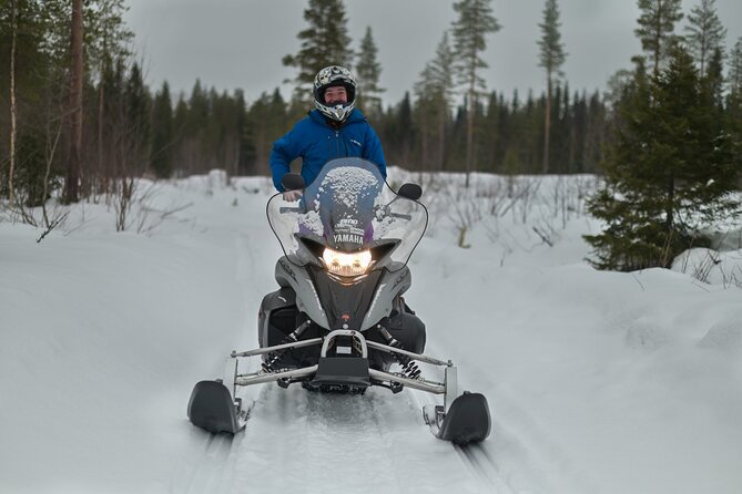 Rovaniemi Snowmobile Adventure & BBQ - 1Hour Drive, Small Group