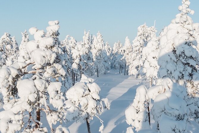 Rovaniemi: Winter Wonderland Vikaköngäs Hiking Tour & BBQ