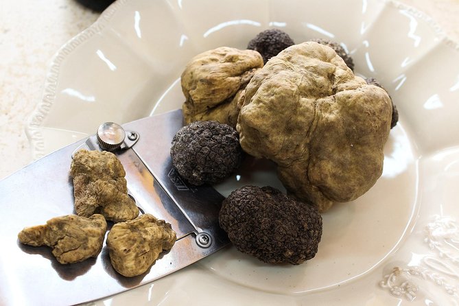 San Gimignano Truffle Hunt & Truffle Cooking Class