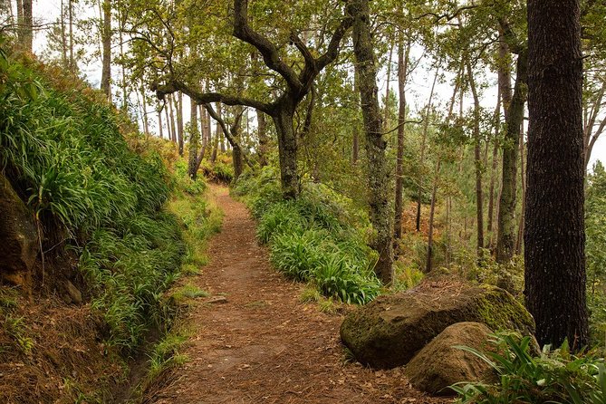 SANTANA Combo Expedition (Jeep & Levada Walk) - Shared Tour