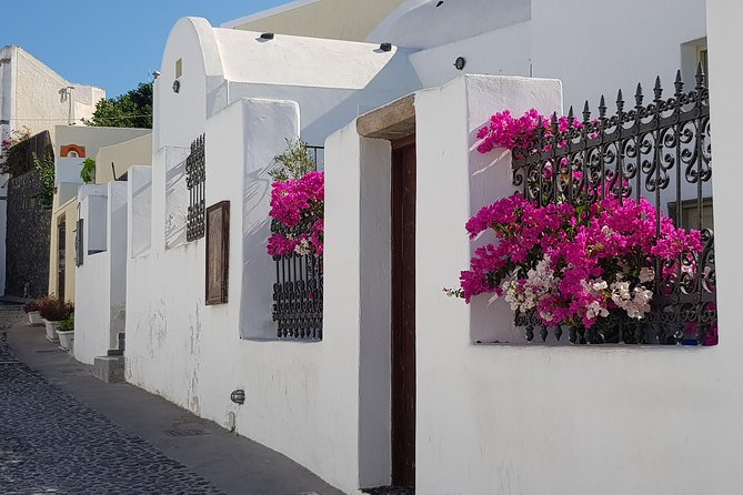 Santorini: 6hr Small Group Shore Excursion Villages & Wine