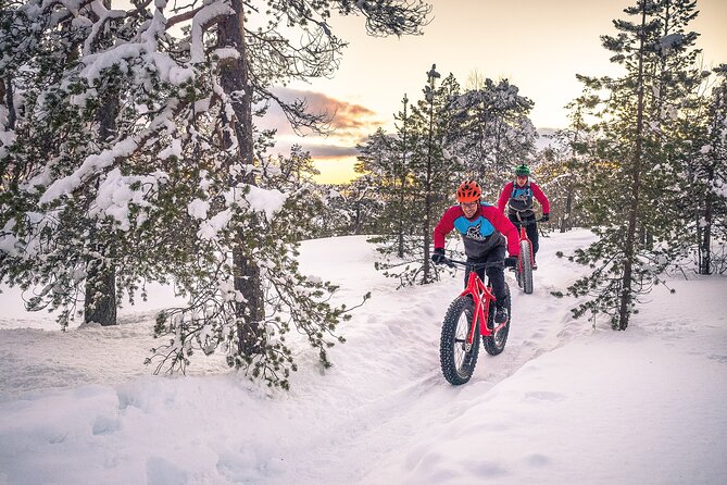 Scenic electric fat bike group ride in Rovaniemi