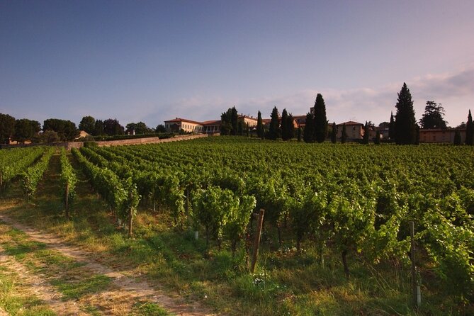 Self-guided Wine tour in Franciacorta, Full-Day Experience with Lunch