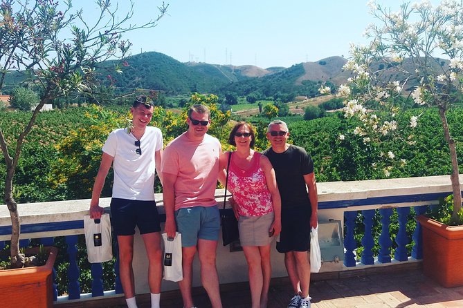 Small-Group Wine Tour & Silves Exploration (from Albufeira)