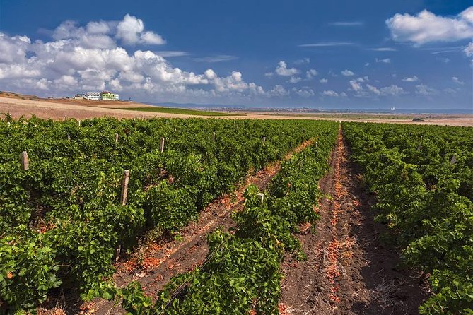 Special History And Wine Tour including Wine Tasting